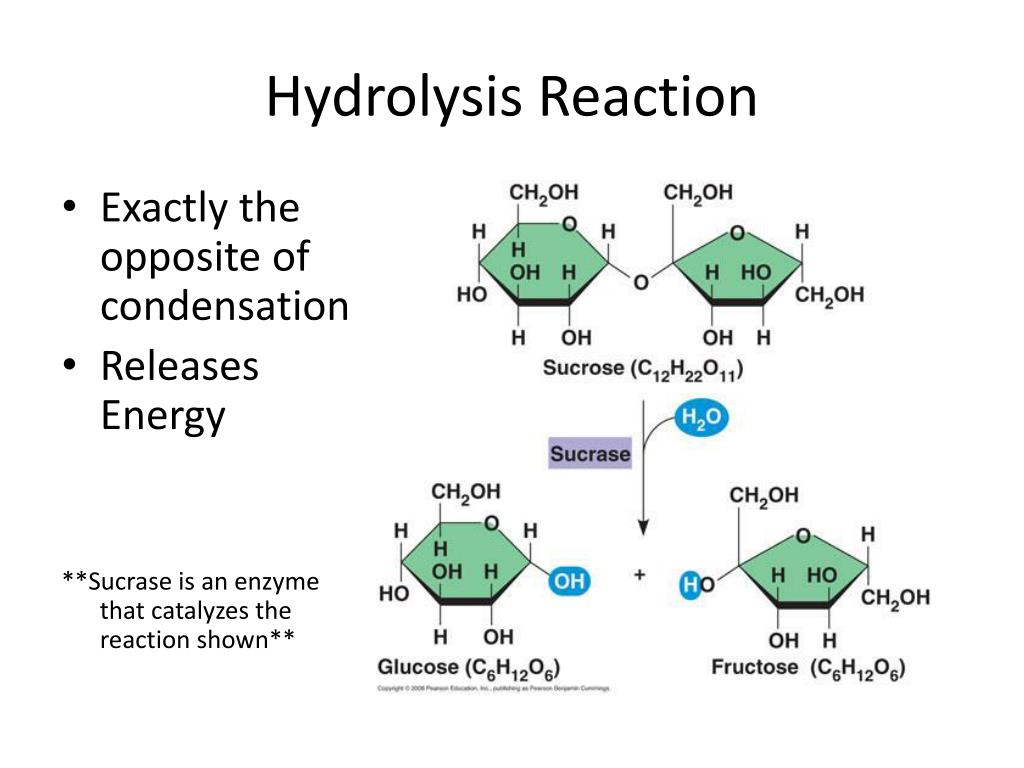 PPT - Chemistry of Living Things PowerPoint Presentation, free download ...