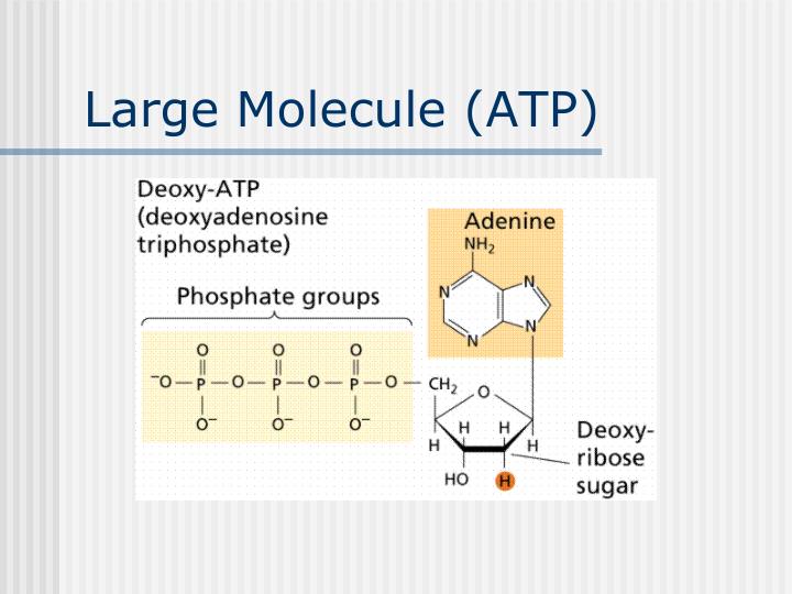 PPT - Functional Groups PowerPoint Presentation - ID:2065780