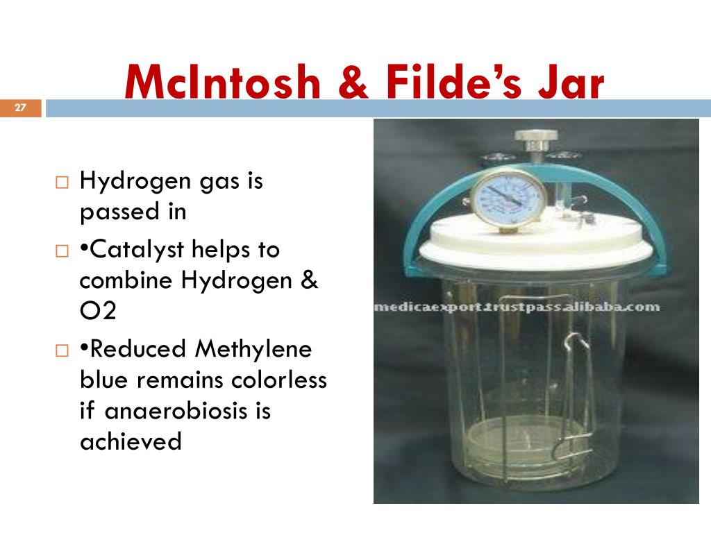 PPT - MLT 2324 Medical Microbiology 3 PowerPoint Presentation, free ...