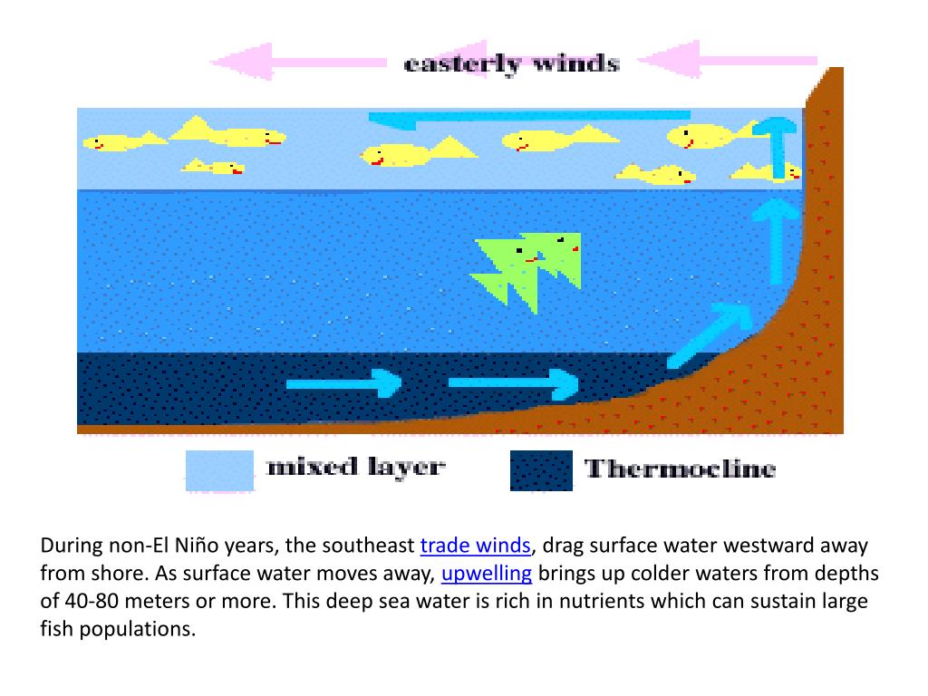 PPT - La Nina and El Nino Phenomena PowerPoint Presentation, free ...