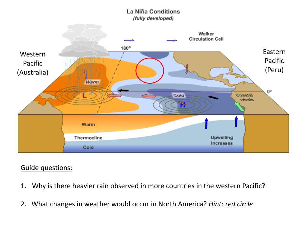 PPT - La Nina and El Nino Phenomena PowerPoint Presentation, free ...
