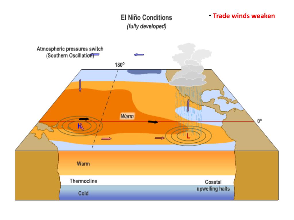 PPT - La Nina and El Nino Phenomena PowerPoint Presentation, free ...