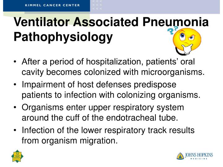 PPT - Ventilator Associated Pneumonia Overview PowerPoint Presentation ...
