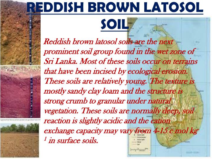 PPT - SOILS OF SRI LANKA PowerPoint Presentation - ID:2065869