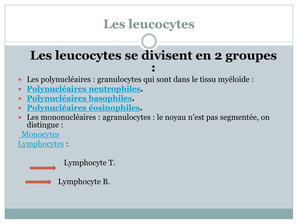 PPT - Les examens de biologie sanguine PowerPoint Presentation, free ...