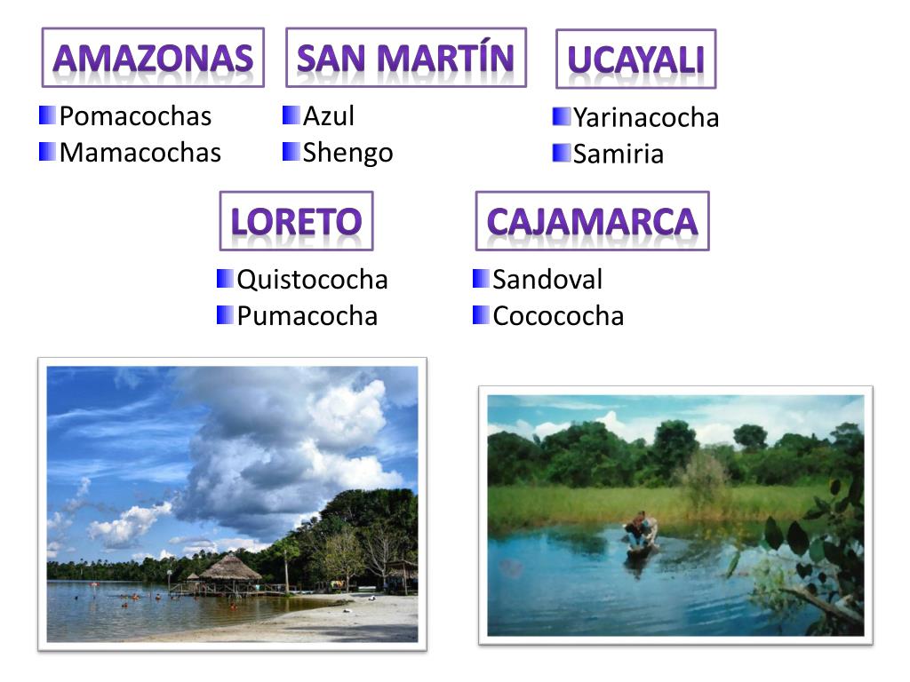 PPT - Universidad autonoma san francisco PowerPoint Presentation, free ...