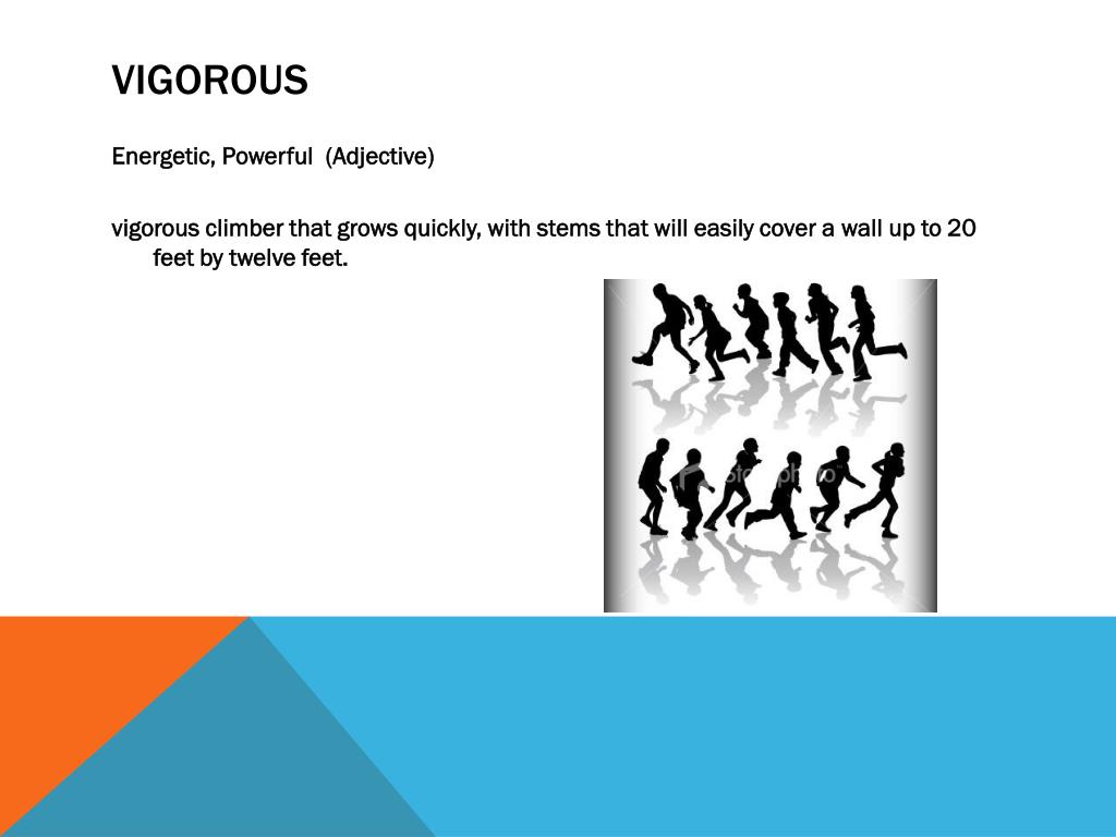PPT - English Vocabulary By: Ny’lah Evans PowerPoint Presentation, free ...