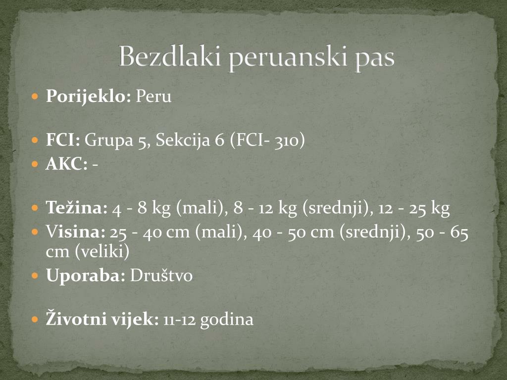 PPT - Pratipovi pasa Faraonski pas ,basenji,bezdlaki meksicki pas ...