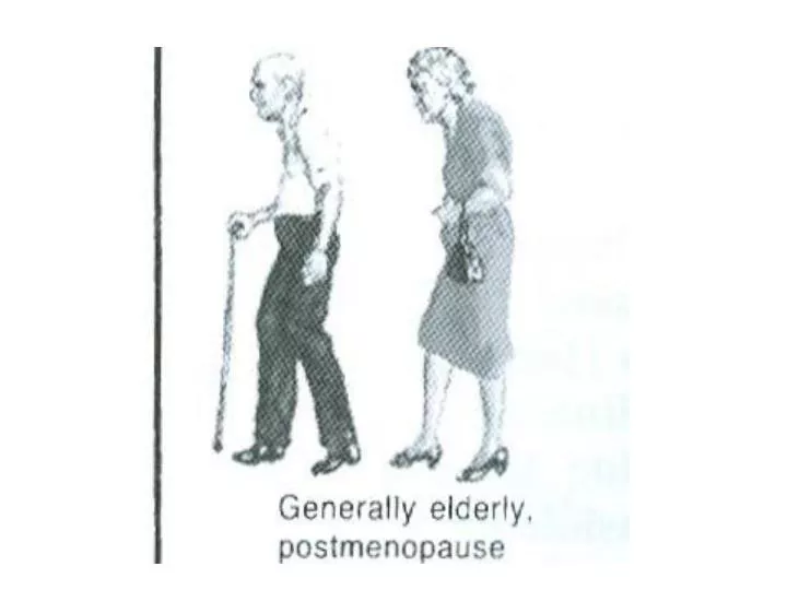 PPT - Normal bone architecture PowerPoint Presentation, free download ...