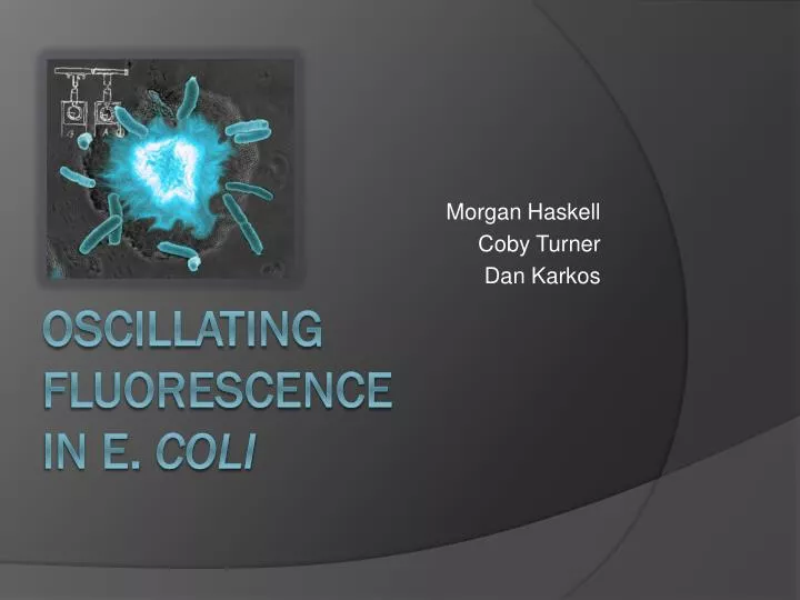 PPT - Oscillating Fluorescence in E. coli PowerPoint Presentation, free ...