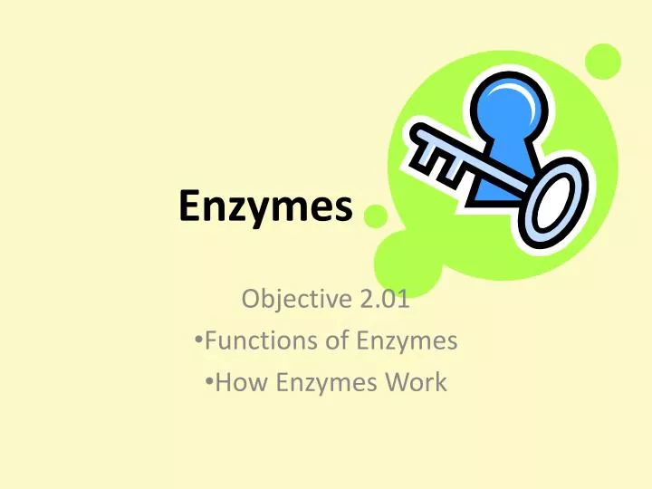 Ppt Enzymes Powerpoint Presentation Free Download Id 2066917