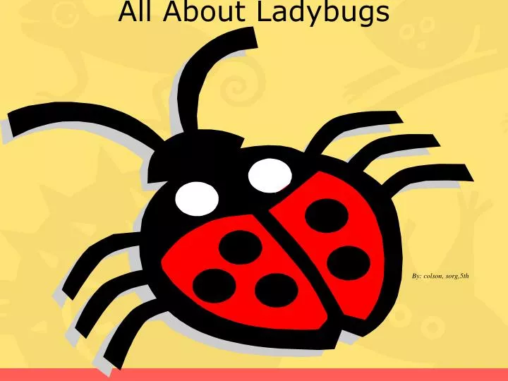 PPT - All About Ladybugs PowerPoint Presentation, free download - ID ...