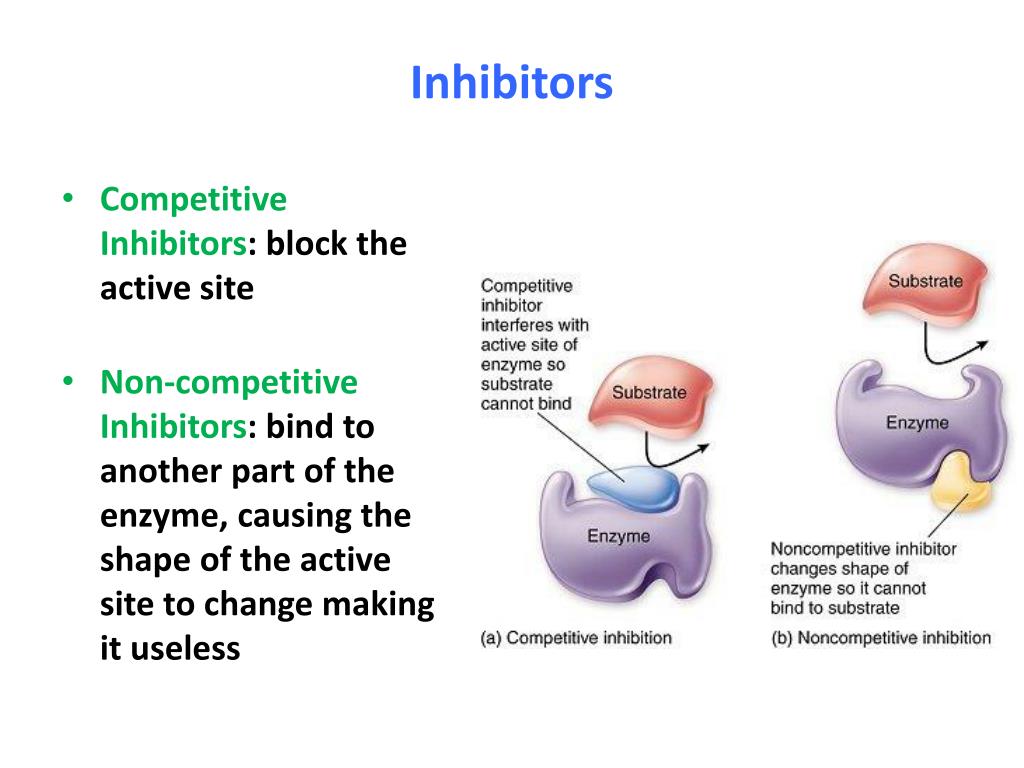 PPT - Chemical Reactions & Enzymes PowerPoint Presentation, free ...
