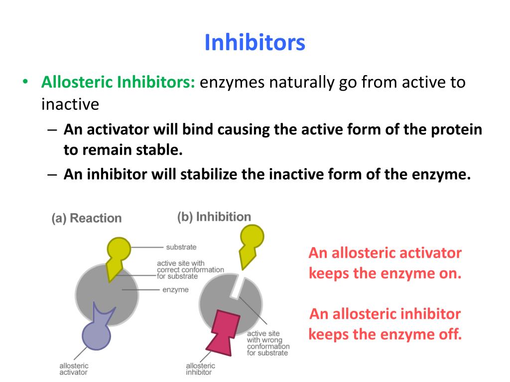 PPT - Chemical Reactions & Enzymes PowerPoint Presentation, free ...