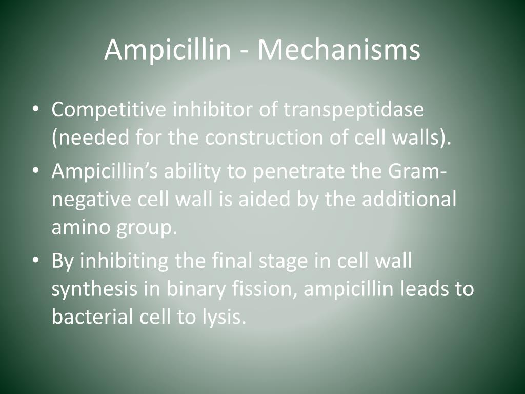 PPT - Antibiotics Bio 1220 18 February 2010 Ethan Richman Ben Kwak ...
