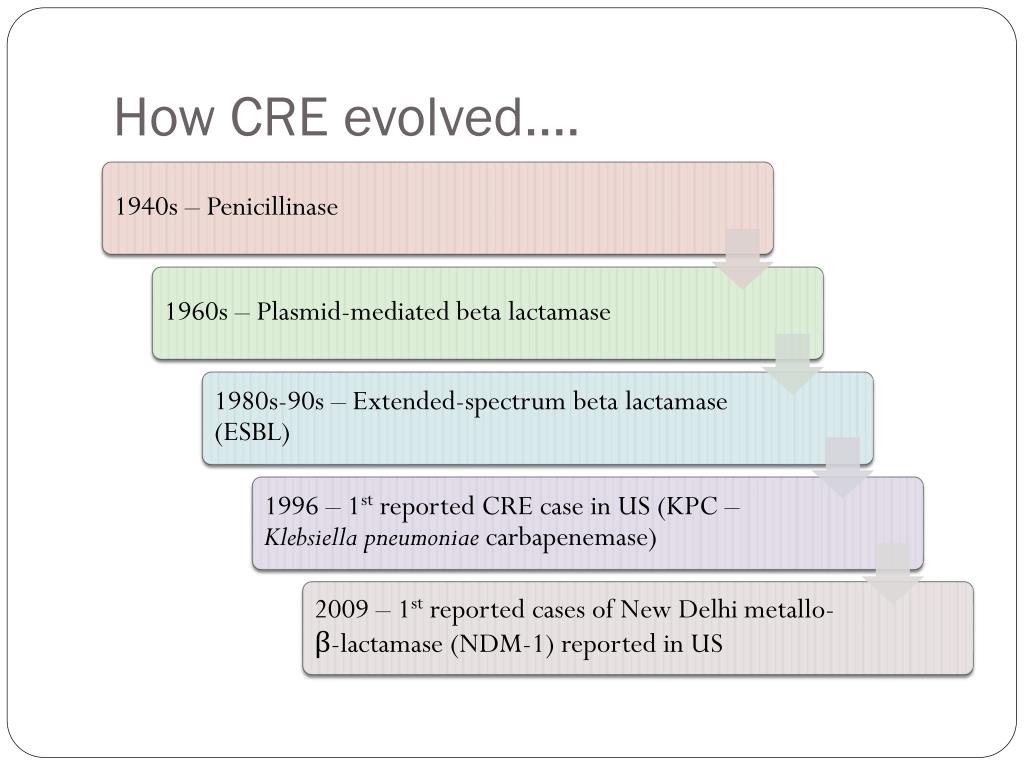 PPT - Carbapenem -resistant Enterobacteriaceae (CRE) and the Imperative ...