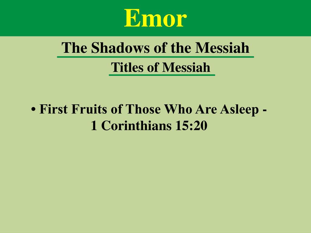 PPT - Emor “Say” The 31 th Torah Portion Reading 8 th reading in the ...