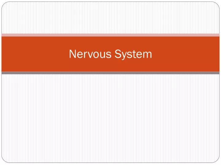 Ppt Nervous System Powerpoint Presentation Free Download Id 2067235