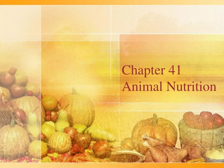 PPT - Chapter 41 Animal Nutrition PowerPoint Presentation, free ...