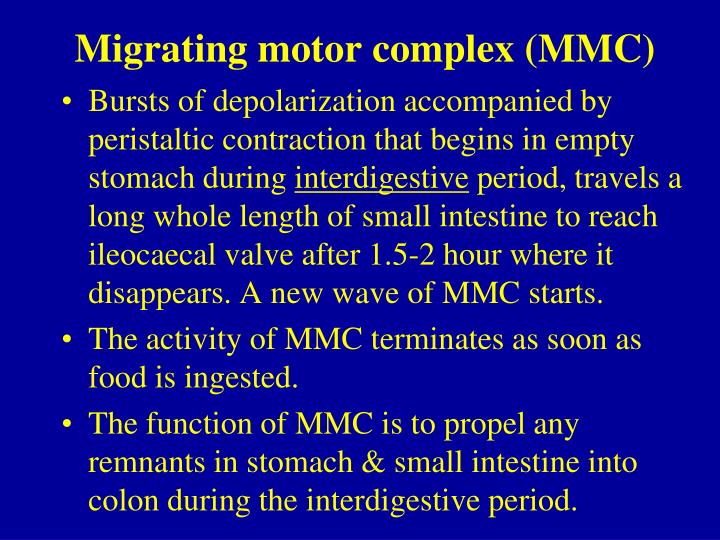 PPT - Physiology of The Small Intestine Motility and Secretion Dr ...