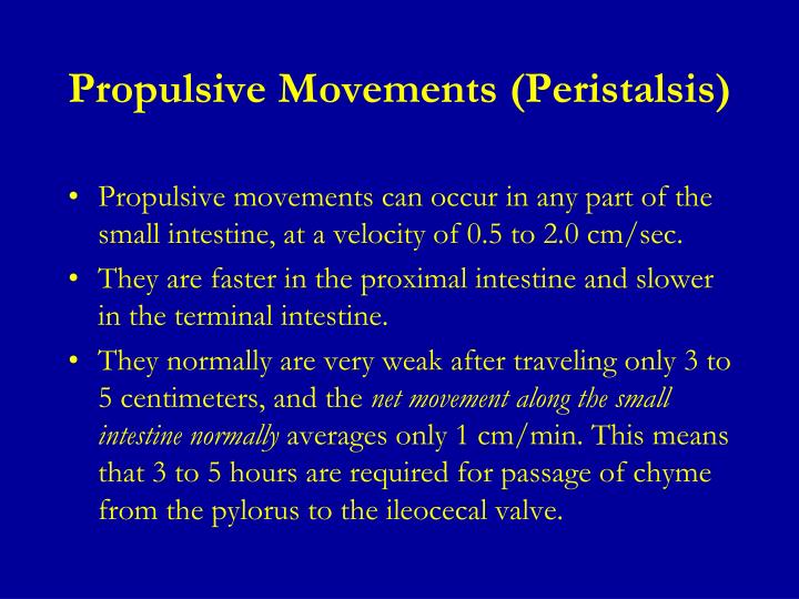 PPT - Physiology of The Small Intestine Motility and Secretion Dr ...