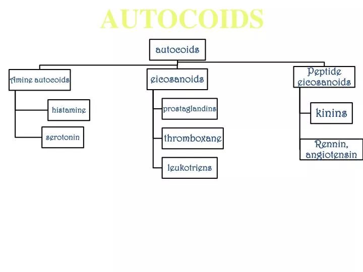 PPT - AUTOCOIDS PowerPoint Presentation, free download - ID:2067372