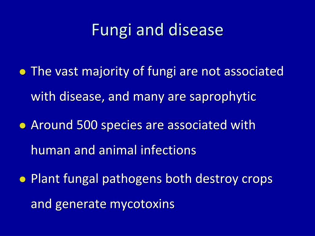 PPT - Medical Mycology PowerPoint Presentation, free download - ID:2067414