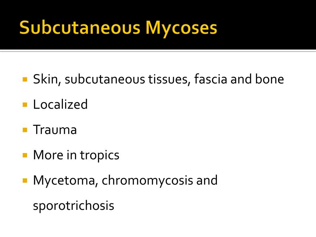 PPT - Medical Mycology PowerPoint Presentation, free download - ID:2067414