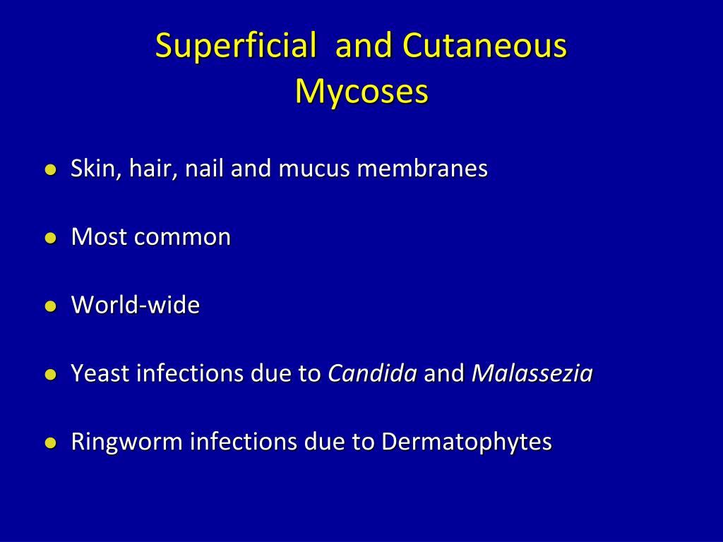 PPT - Medical Mycology PowerPoint Presentation, free download - ID:2067414