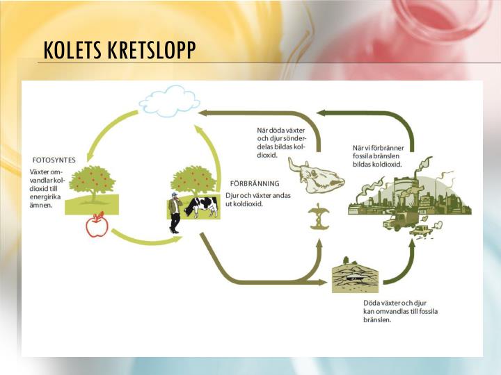 PPT - Organisk kemi PowerPoint Presentation - ID:2067445