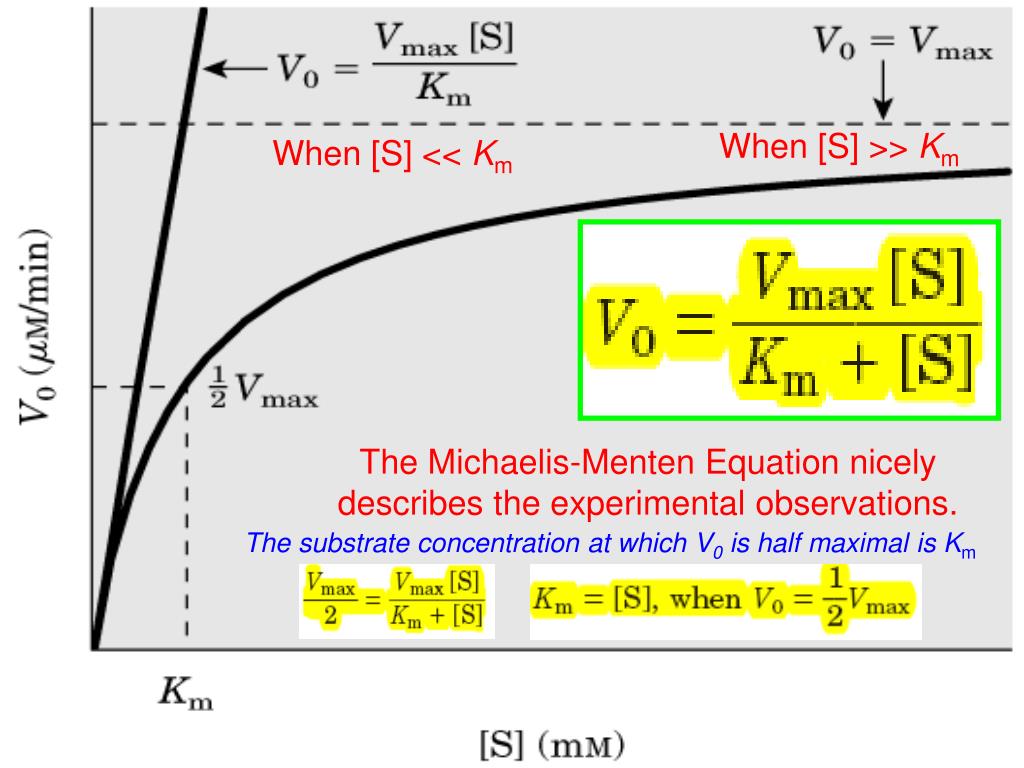 Enzyme Kinetics Enzyme Kinetics
