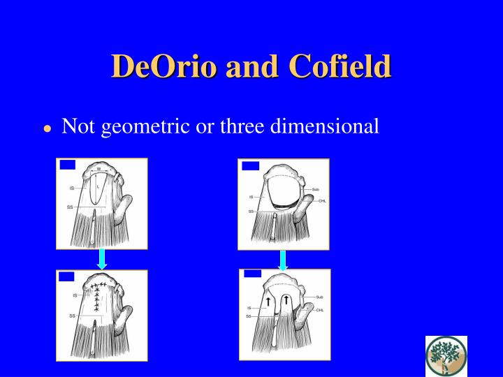 PPT - Geometric Classification Rotator Cuff Tears PowerPoint ...