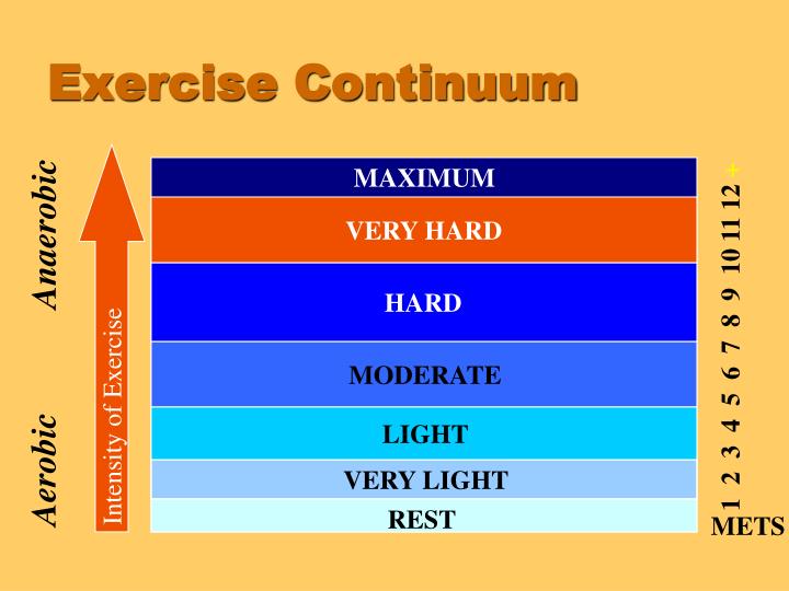 PPT - An Introduction to Physical Activity and Exercise PowerPoint ...