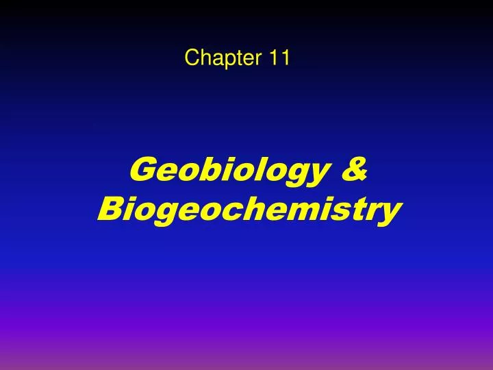 PPT - Geobiology & Biogeochemistry PowerPoint Presentation, free ...