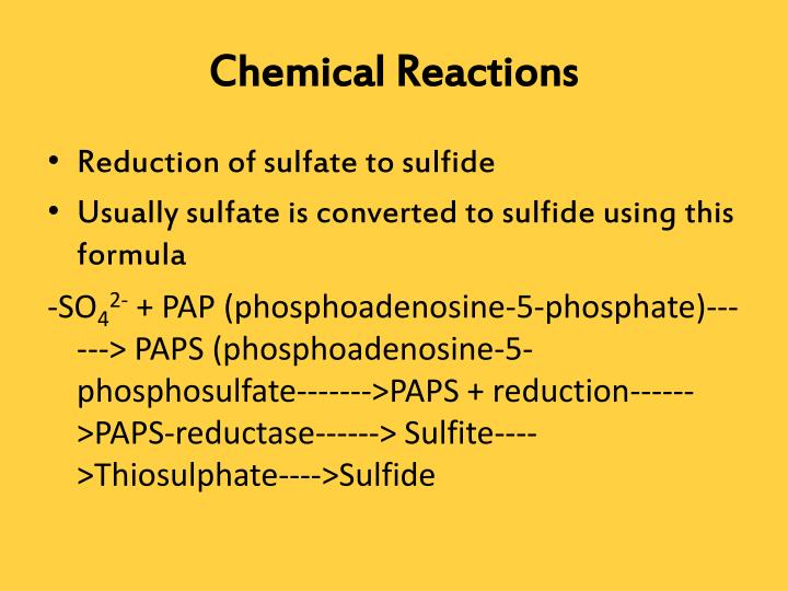 PPT - Sulfur Cycle PowerPoint Presentation - ID:2067932
