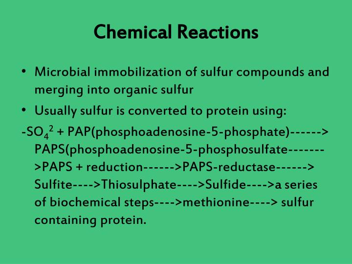 PPT - Sulfur Cycle PowerPoint Presentation - ID:2067932
