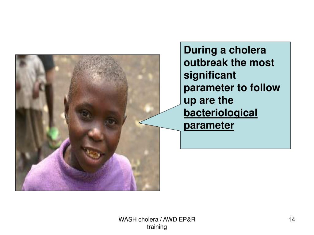 PPT - Key responses – Water Water supply priorities in cholera / AWD ...