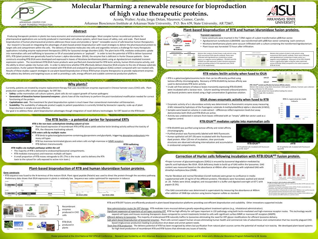 PPT - Molecular Pharming : a renewable resource for bioproduction of ...