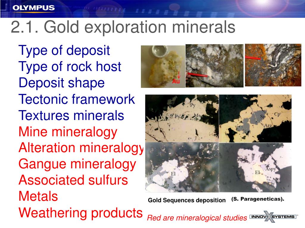 PPT - Terra-XRD: Gold Application for mineralogical studies PowerPoint ...