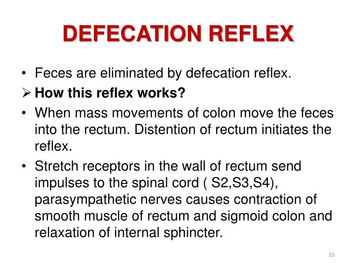 PPT - LARGE INTESTINE PowerPoint Presentation - ID:2068293