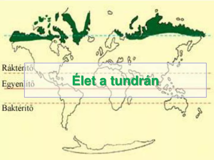 PPT - Élet a tundrán PowerPoint Presentation, free download - ID:2068384
