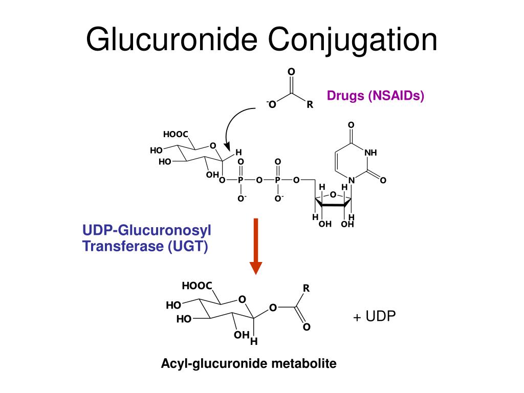 PPT - Aspek Farmakokimia Obat Anti inflamasi Non Steroid PowerPoint ...