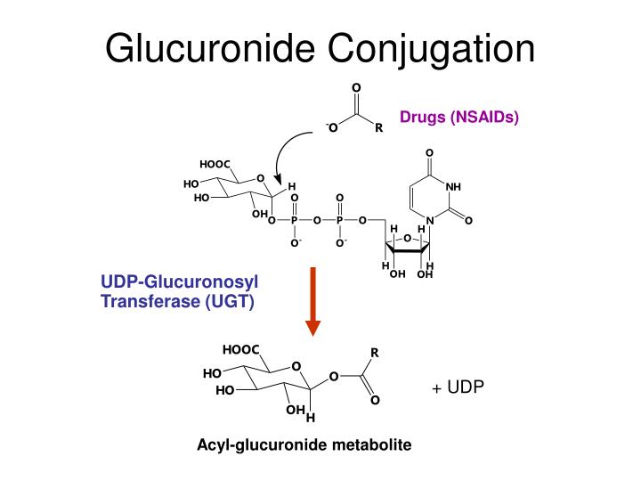 PPT - Aspek Farmakokimia Obat Anti inflamasi Non Steroid PowerPoint ...