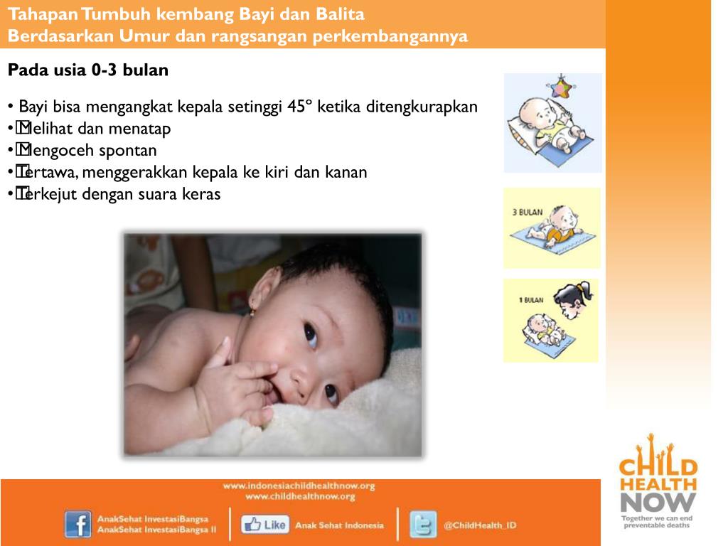 PPT - Tumbuh Kembang Bayi dan Balita PowerPoint Presentation, free ...