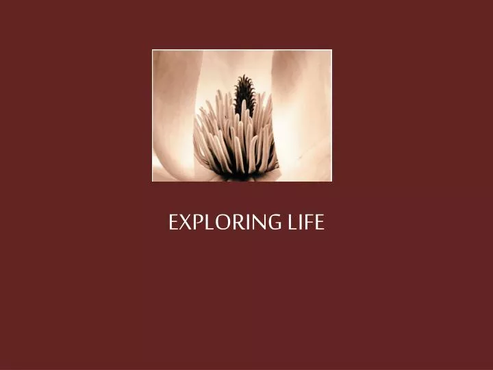 PPT - EXPLORING LIFE PowerPoint Presentation, free download - ID:2069253