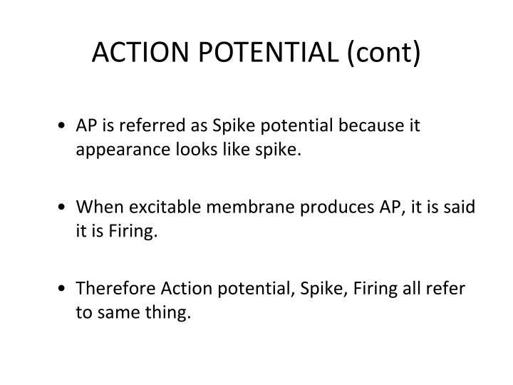 PPT - GRADED POTENTIAL & ACTION POTENTIAL PowerPoint Presentation - ID ...