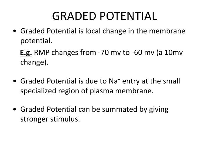 PPT - GRADED POTENTIAL & ACTION POTENTIAL PowerPoint Presentation - ID ...