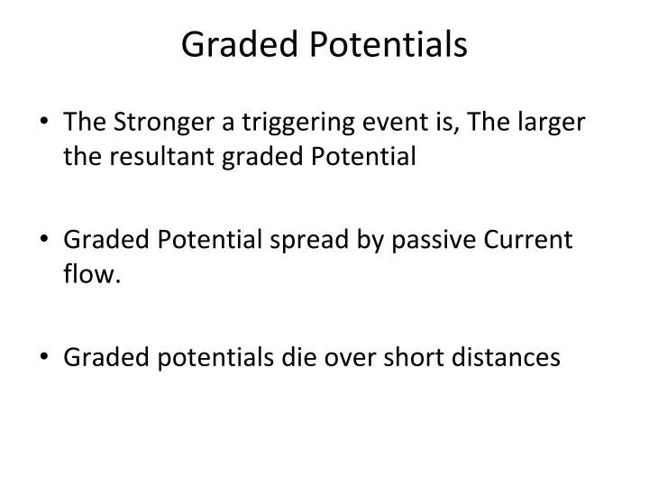 PPT - GRADED POTENTIAL & ACTION POTENTIAL PowerPoint Presentation - ID:2069368