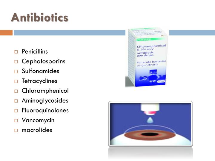 PPT - Ocular pharmacology and toxicology PowerPoint Presentation - ID ...