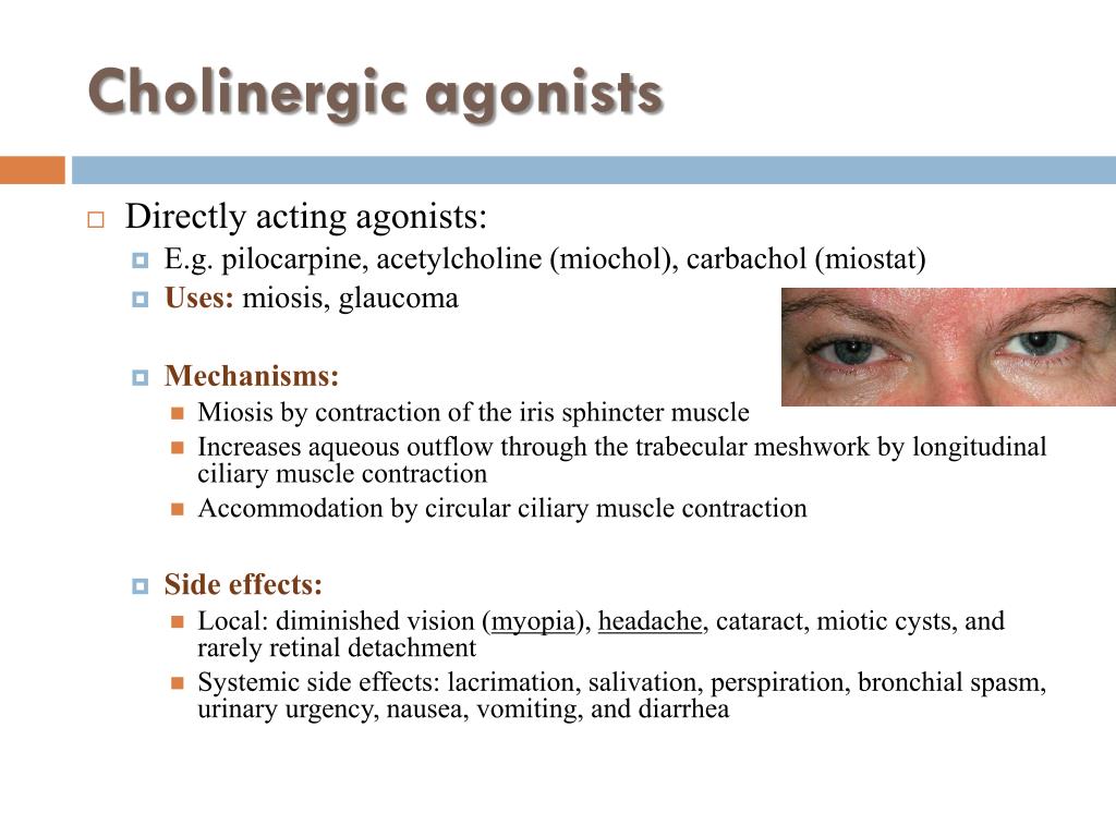 PPT - Ocular pharmacology and toxicology PowerPoint Presentation, free ...